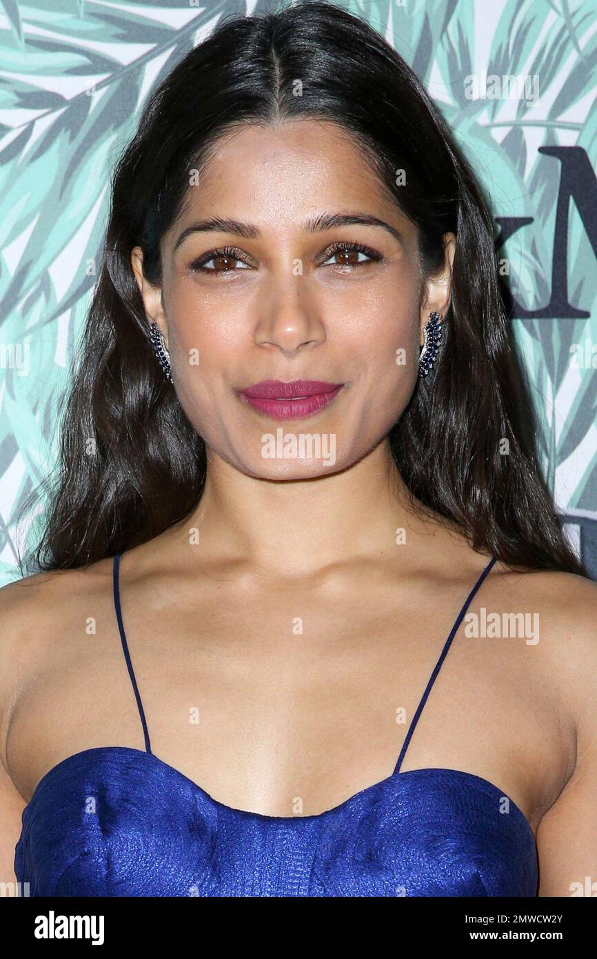 Freida Pinto arrives at the 10th Annual Women in Film Pre-Oscar ...