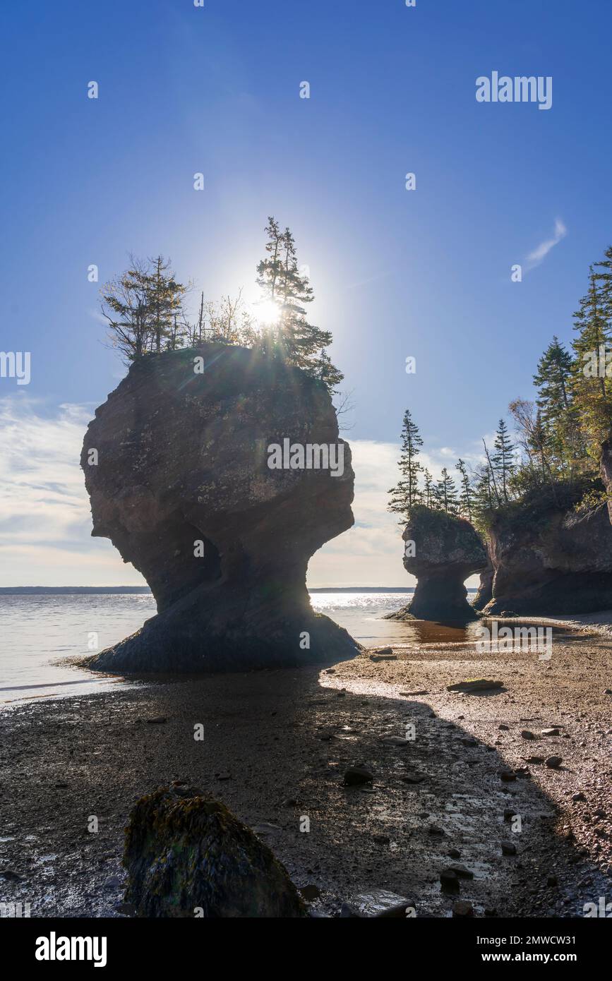 Sea stacks and cliffs at the Hopewell Rocks in Hopewell Rocks ...