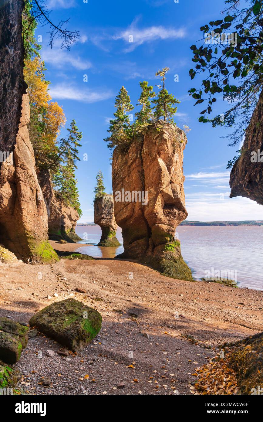 Sea stacks and cliffs at the Hopewell Rocks in Hopewell Rocks ...