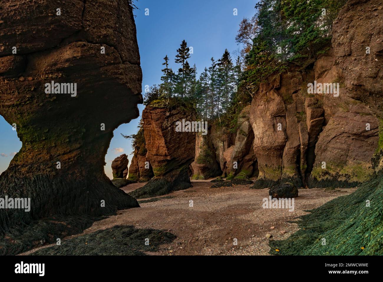 Sea stacks and cliffs at the Hopewell Rocks in Hopewell Rocks ...