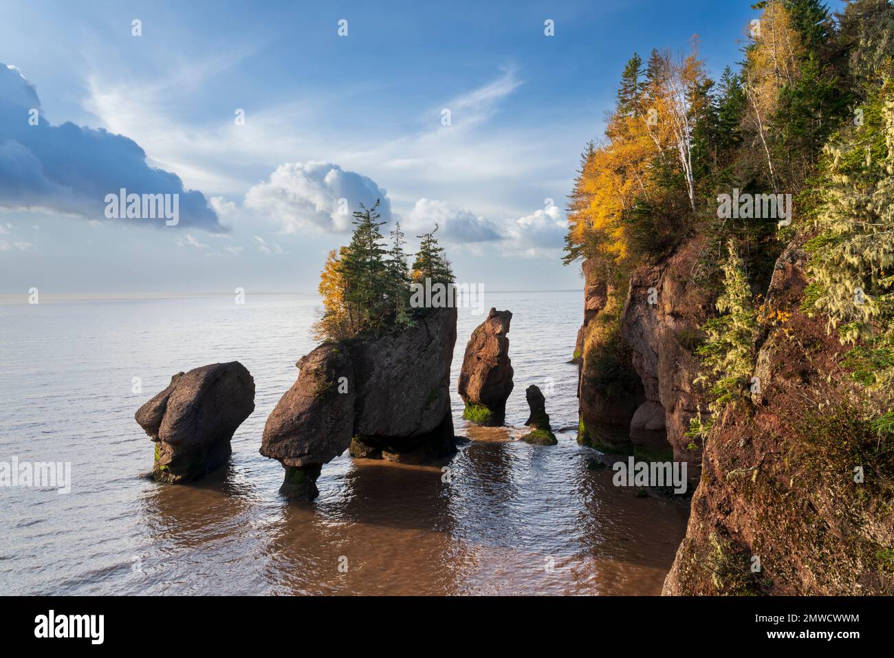 Sea stacks and cliffs at the Hopewell Rocks in Hopewell Rocks ...