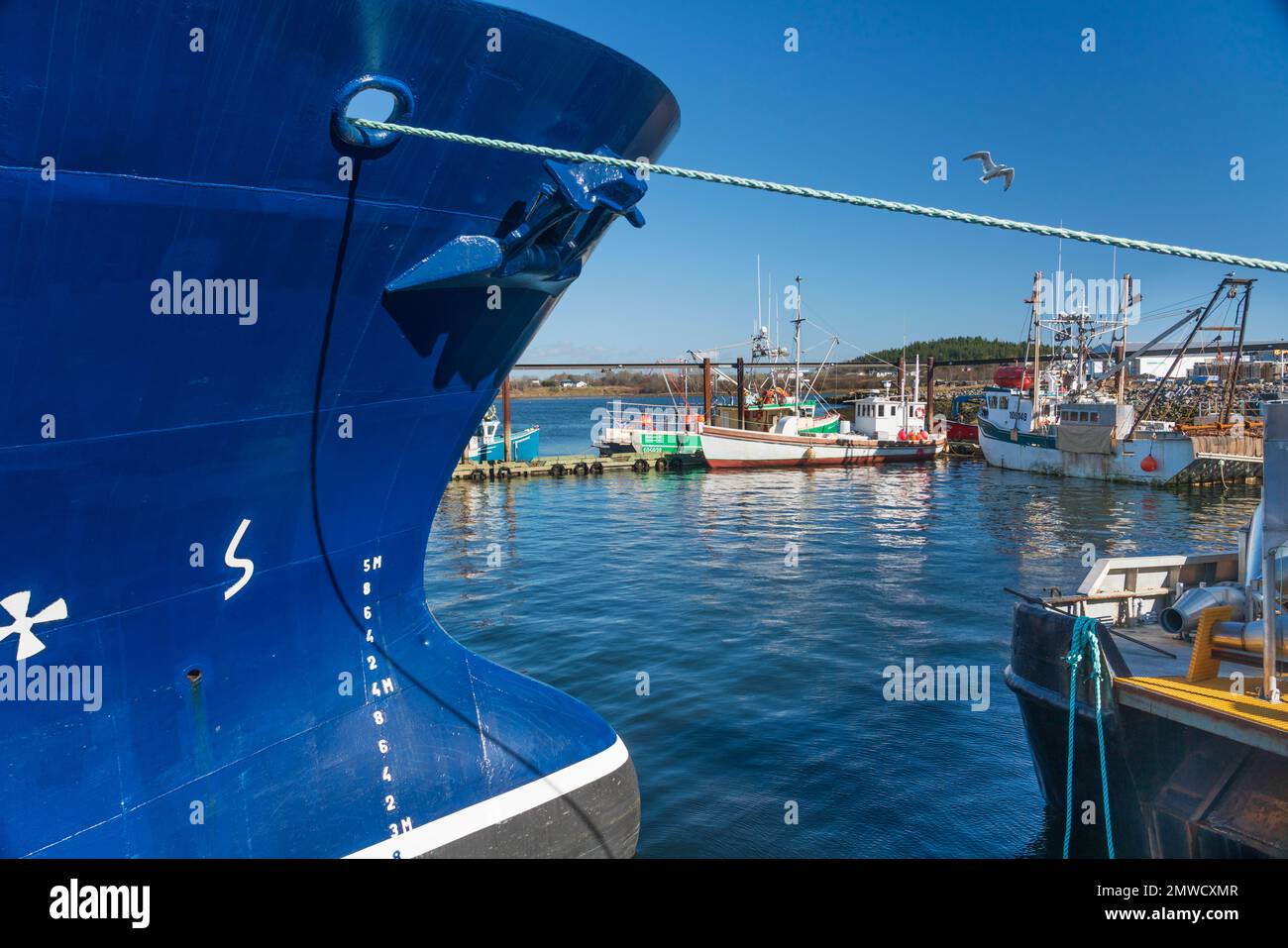 Fishing boats in Black's Harbour, New Brunswick, Canada Stock Photo - Alamy