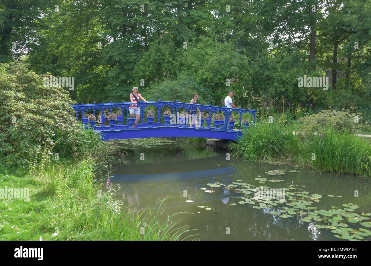 Fuchsia bridge hi-res stock photography and images - Alamy