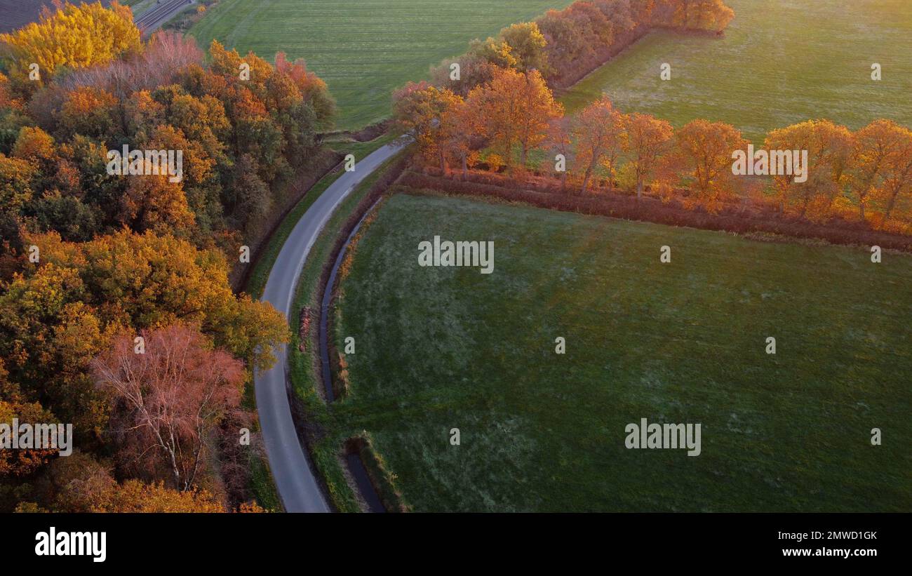 A country road in The Netherlands, Drenthe in autumn time Stock Photo ...