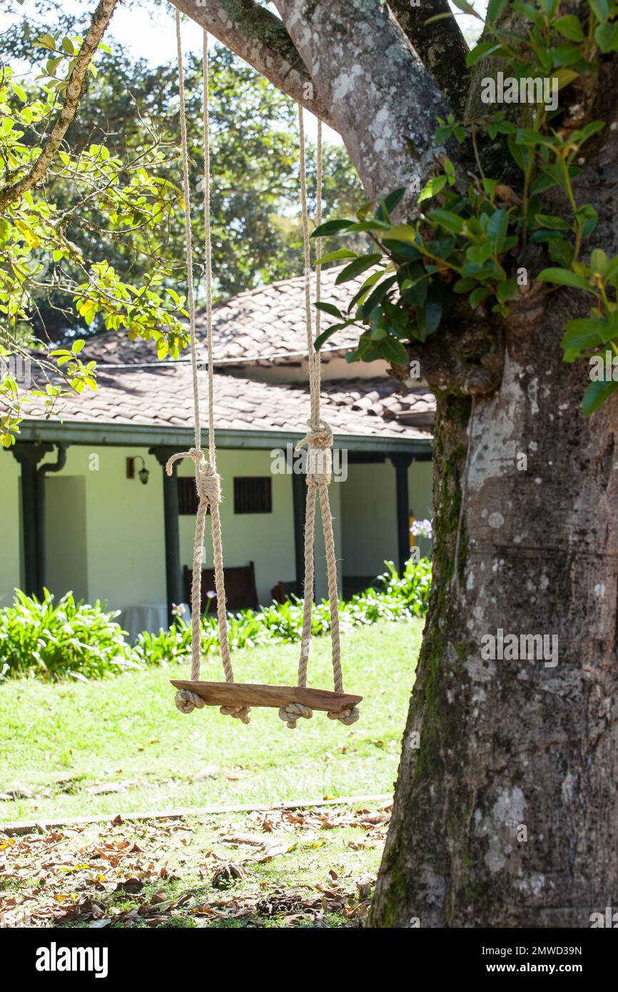 swing hanging from a tree Stock Photo - Alamy