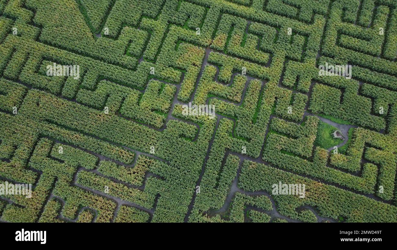 Round puzzle hi-res stock photography and images - Alamy