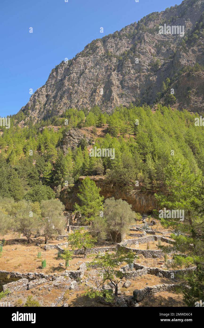 Ruins of the settlement of Samaria, Samaria Gorge, Crete, Greece Stock ...
