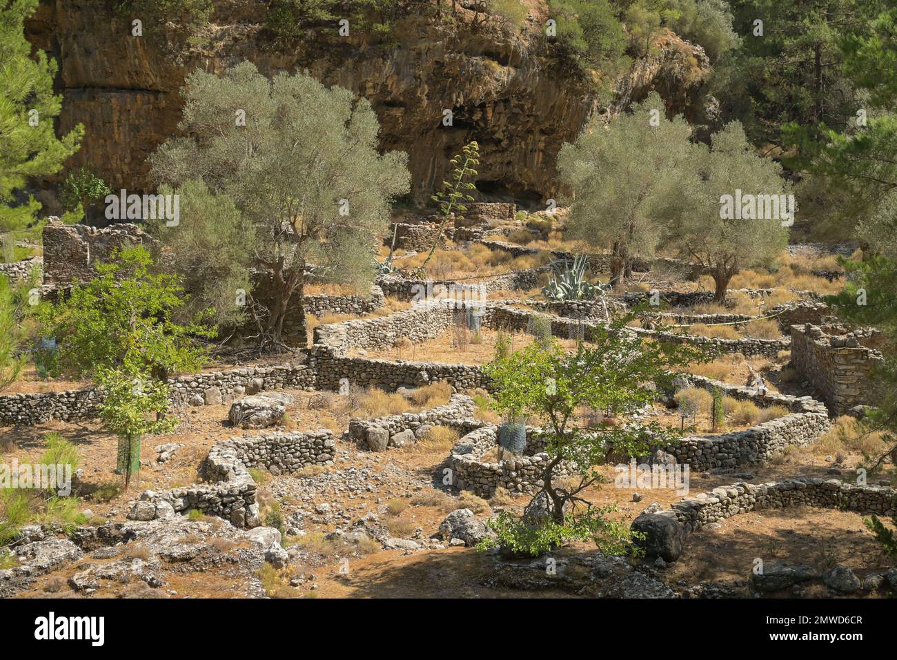 Ruins of the settlement of Samaria, Samaria Gorge, Crete, Greece Stock ...