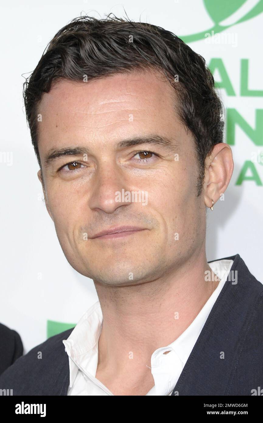 Orlando Bloom attends the Global Green USA 14th Annual Pre-Oscar Party ...