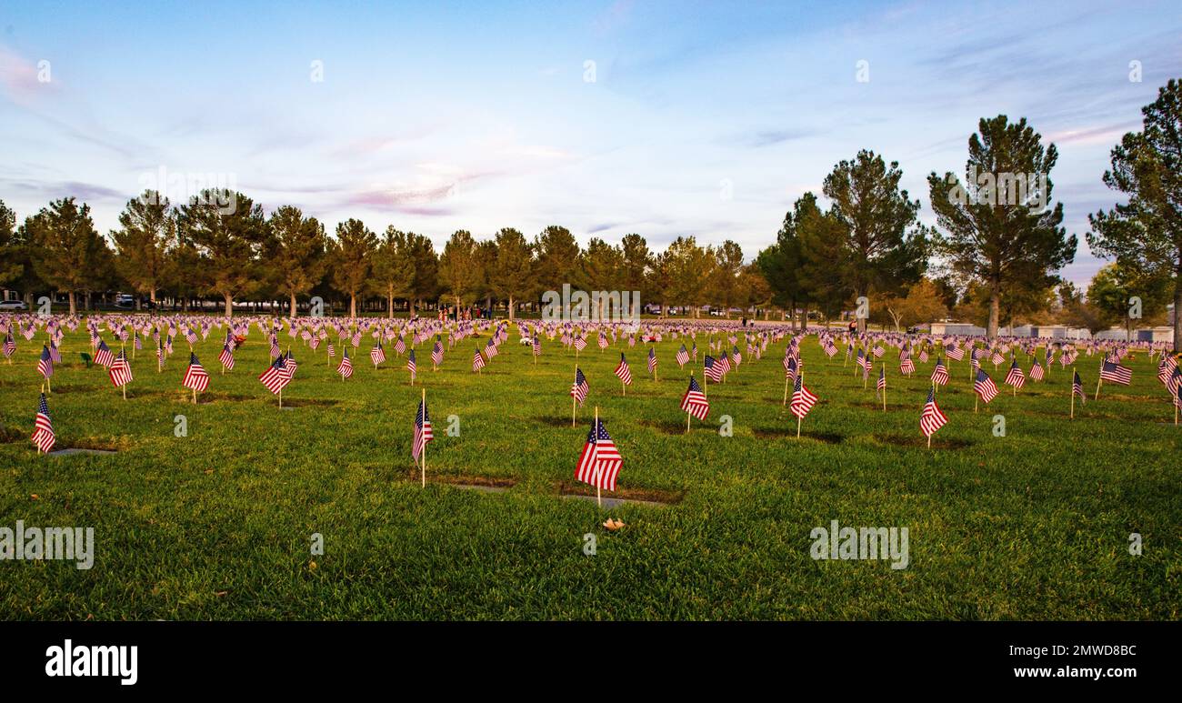 Flags on the field hi-res stock photography and images - Alamy