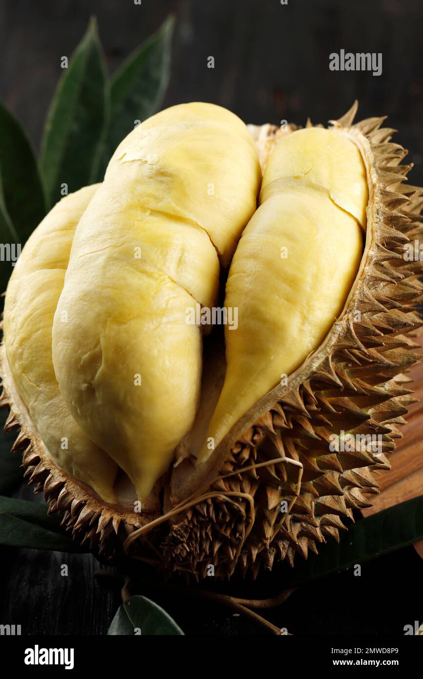Close Up Durian Monthong on Black Wood Background, King of Fruit from ...