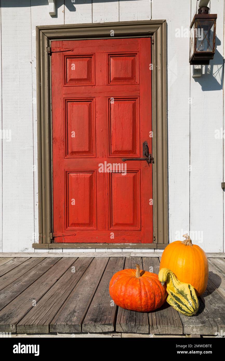 Red painted wooden entrance door and pumpkins on wood plank porch of ...