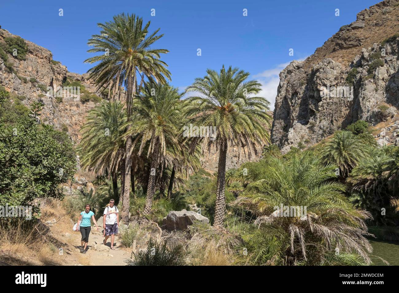Palm Forest, Preveli, Crete, Greece Stock Photo - Alamy