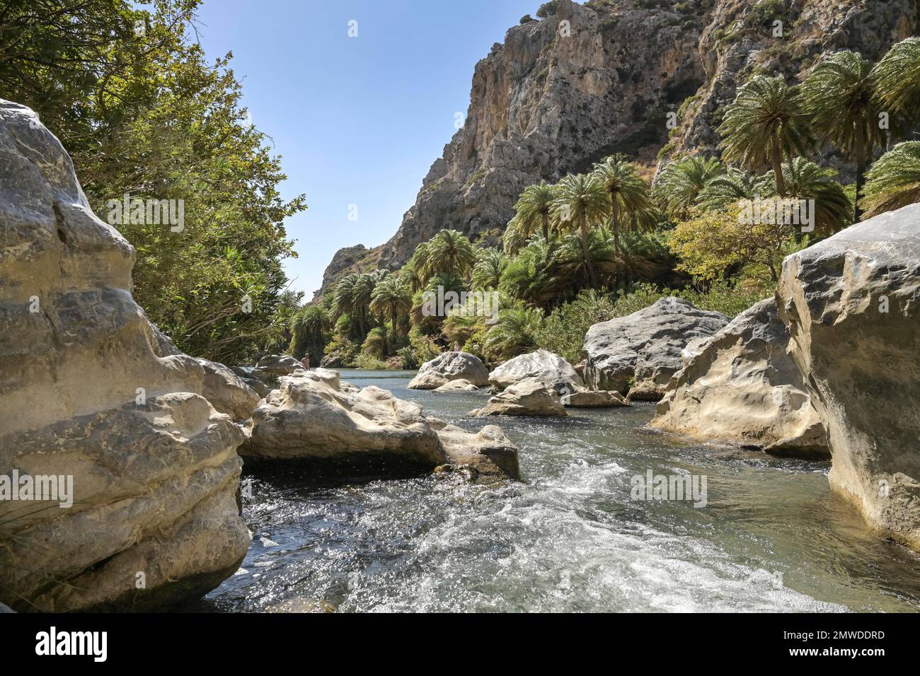 Preveli palm forest hi-res stock photography and images - Alamy