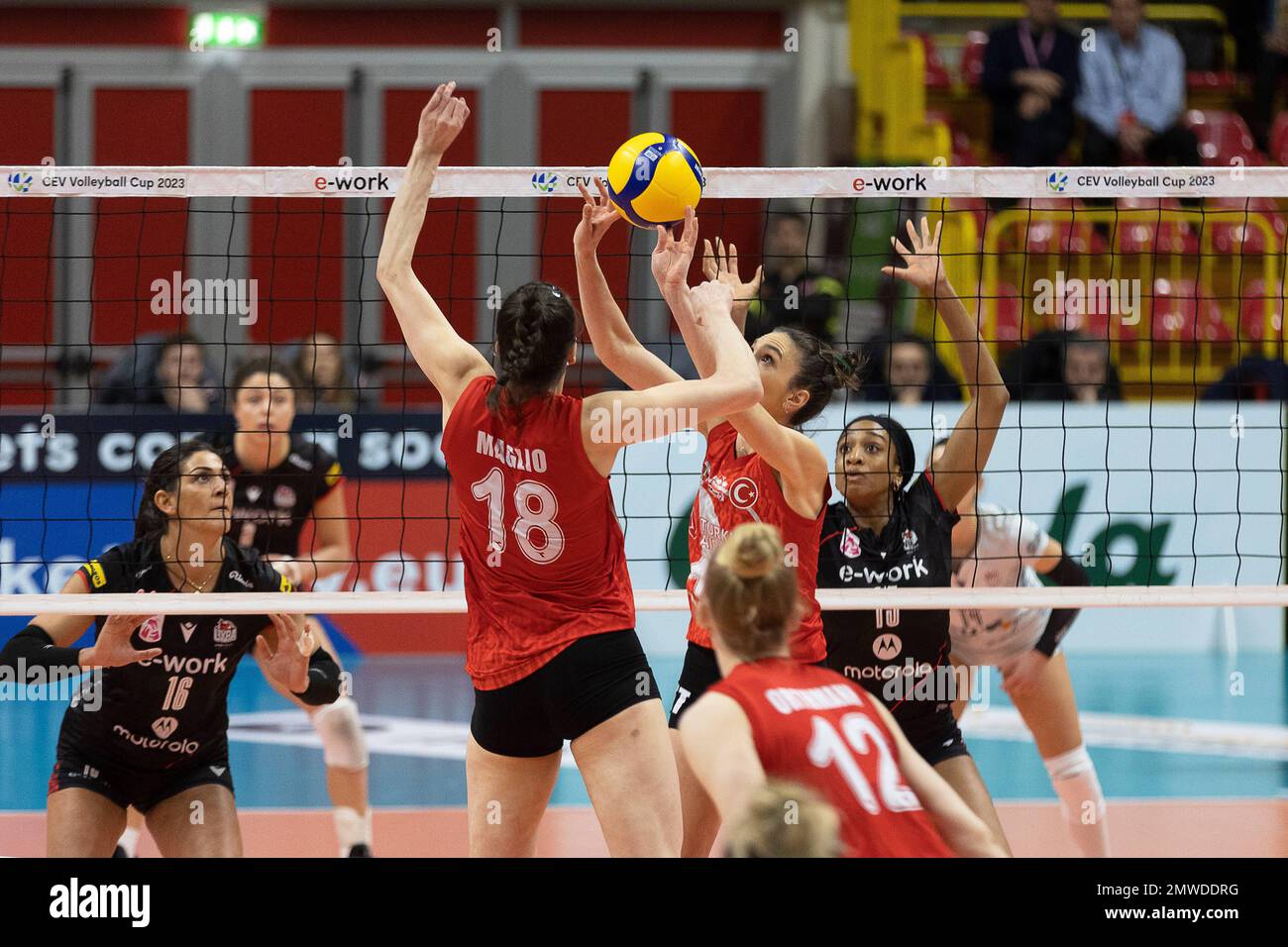 Emily maglio hi-res stock photography and images - Alamy