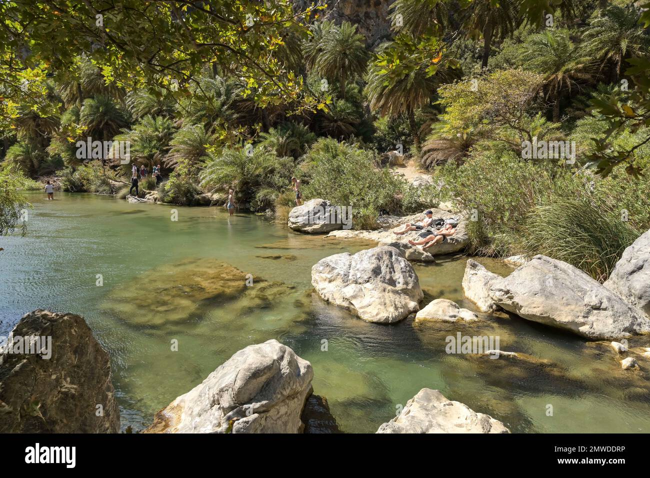 Stream, palm trees, Preveli, Crete, Greece Stock Photo - Alamy