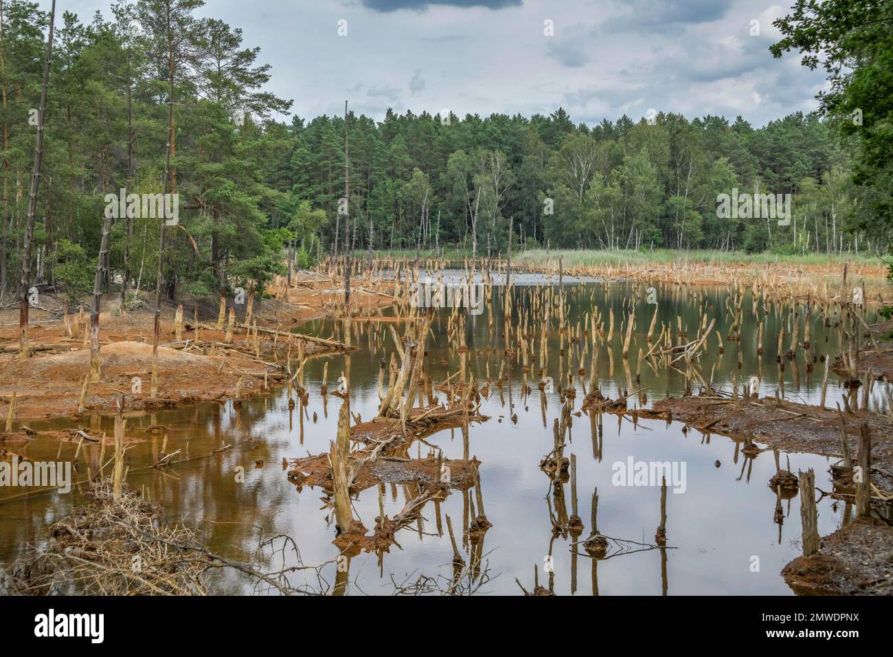 Geopark leknica hi-res stock photography and images - Alamy