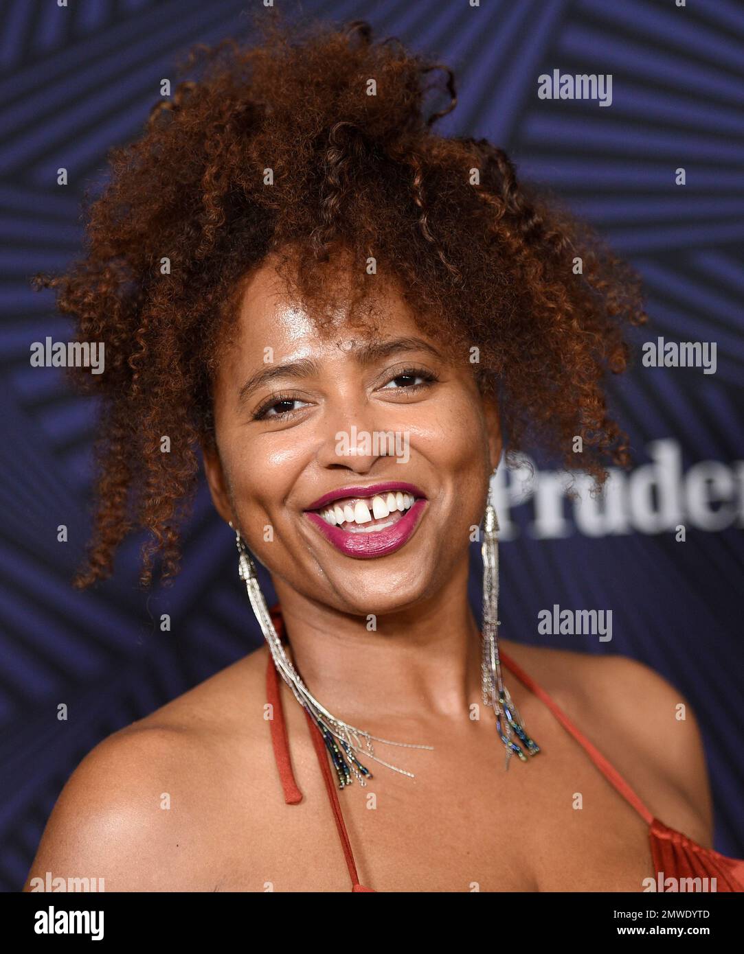 Actress Lisa Nicole Carson poses at the 2017 ABFF Awards: A Celebration ...