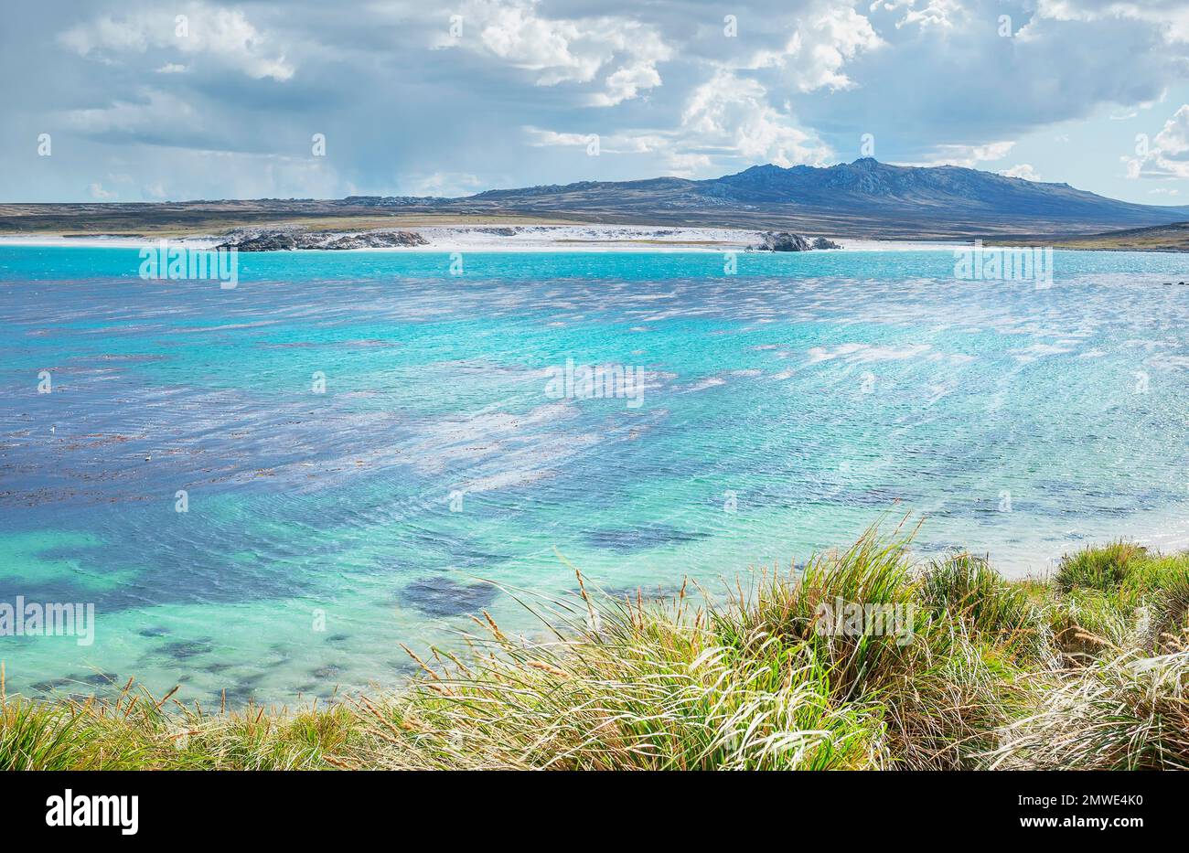 Seal bay, Volunteer Point, East Falkland, Falkland Islands Stock Photo ...