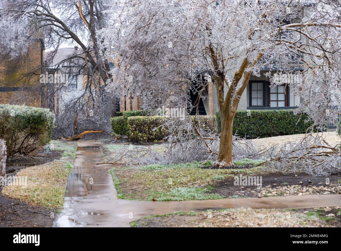 Ice storm austin hi-res stock photography and images - Alamy