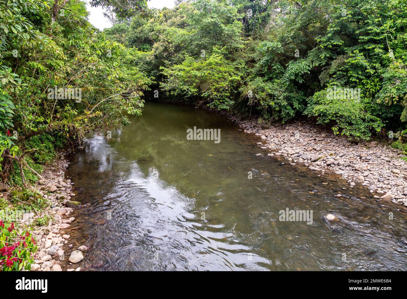 The Tourist Walk of the Puyo River, is located in the Barrio Obrero, an ...