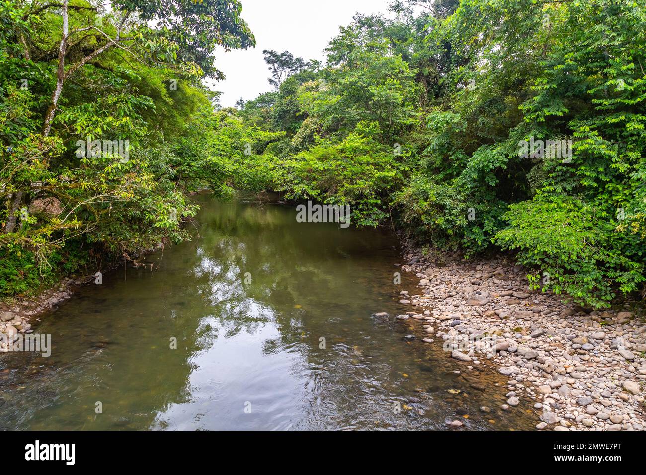 The Tourist Walk of the Puyo River, is located in the Barrio Obrero, an ...
