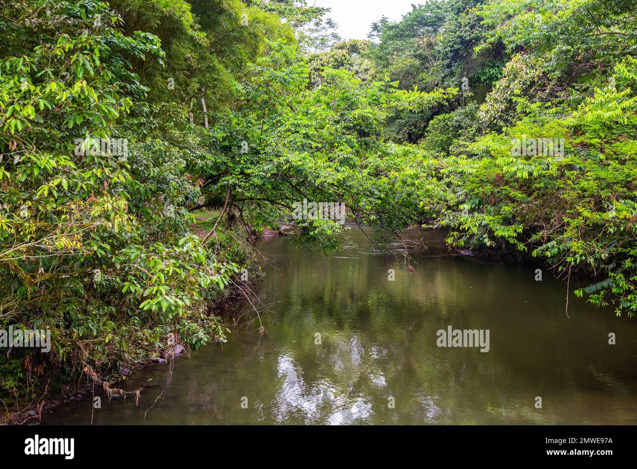 The Tourist Walk of the Puyo River, is located in the Barrio Obrero, an ...