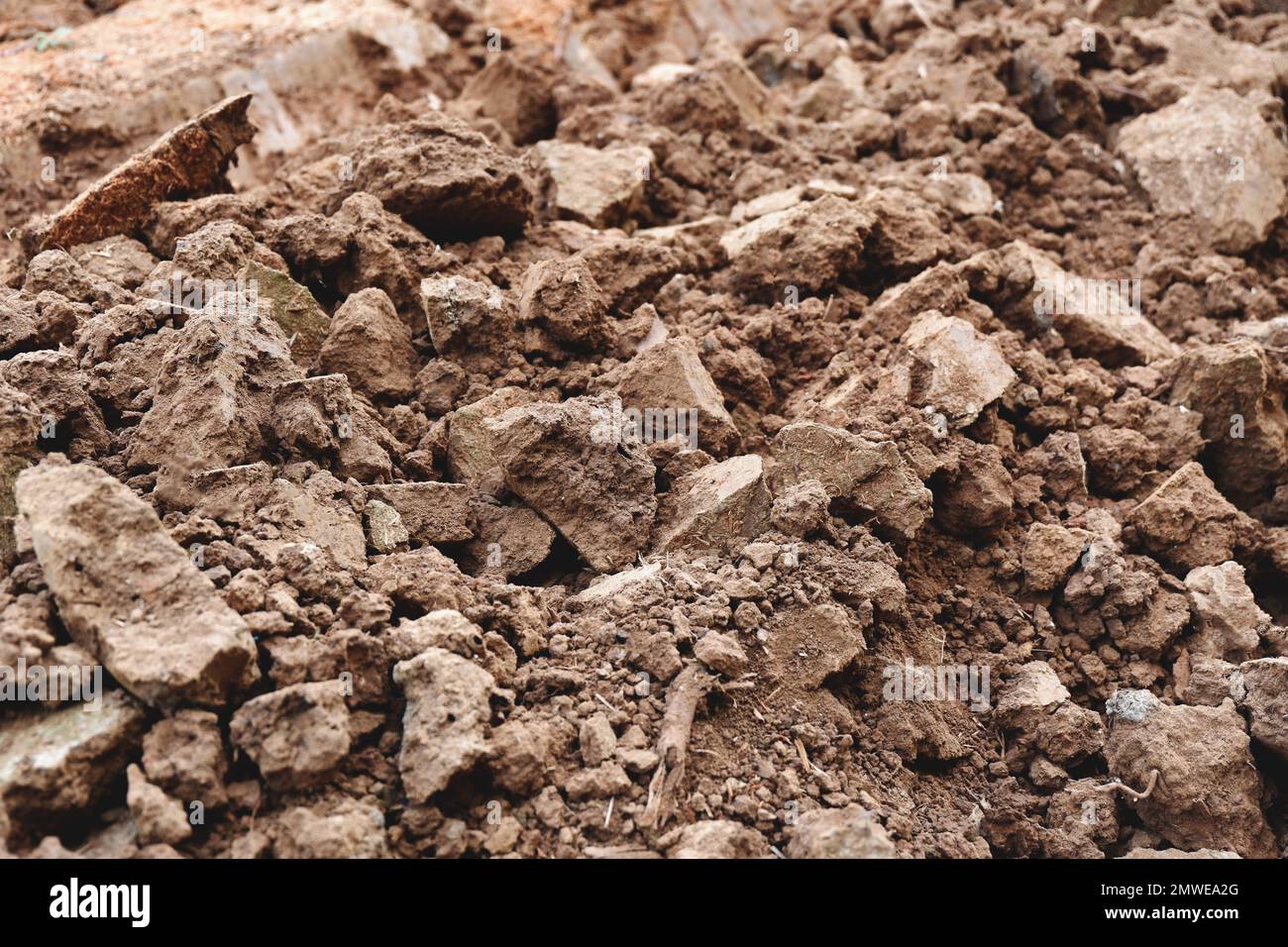 good quality soil minerals nutrients in the soil quality for ...