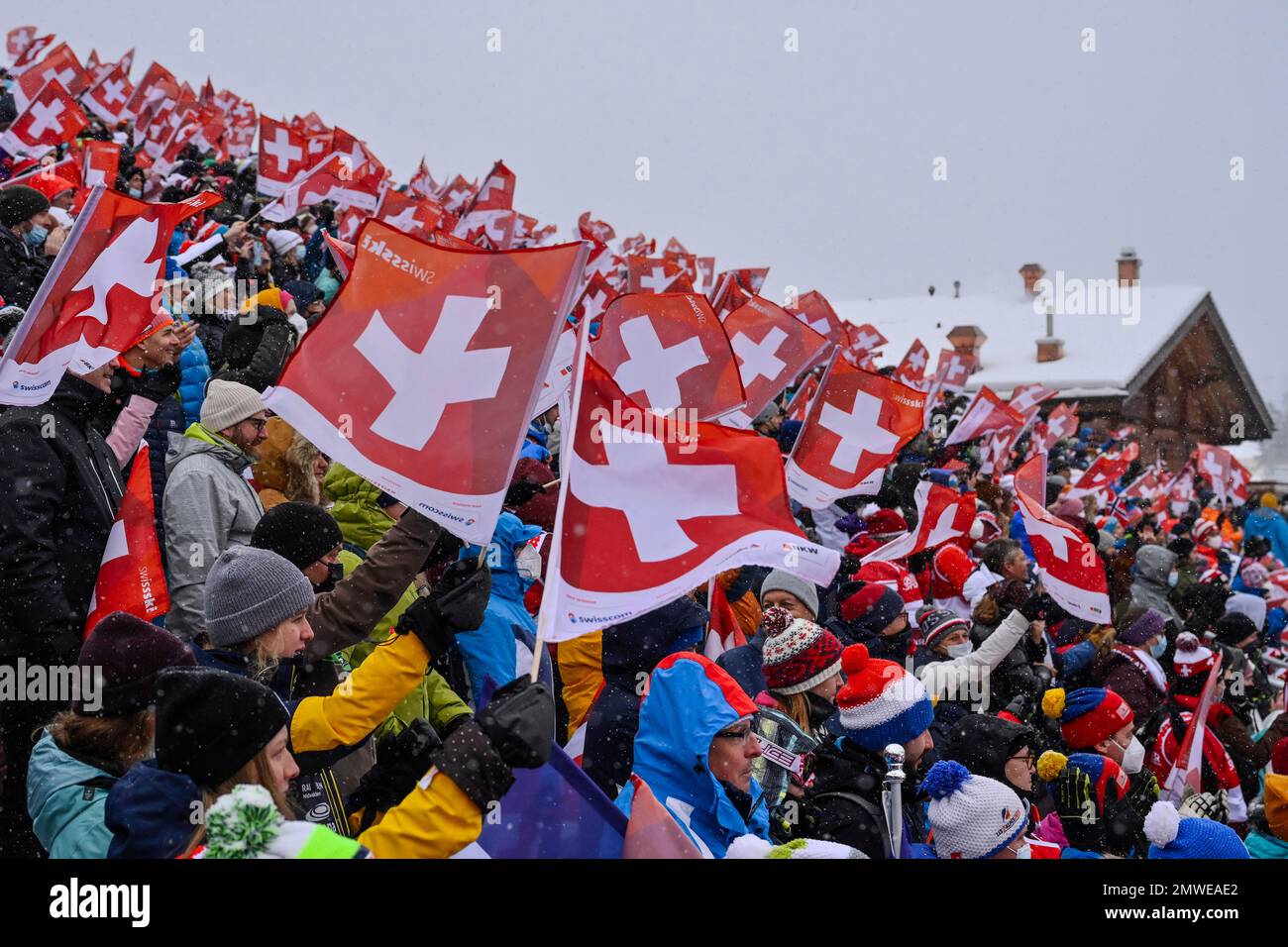 Swiss fans with flags Stock Photo - Alamy
