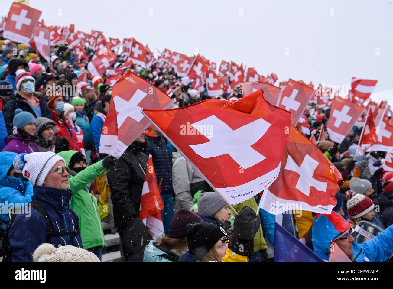 Swiss fans with flags Stock Photo - Alamy