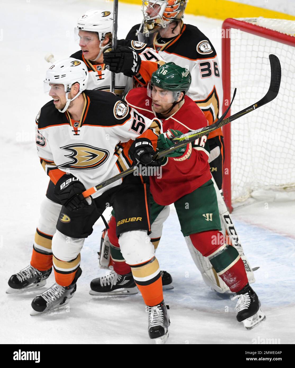 Minnesota Wild's Jason Zucker, right, gets sandwiched between Anaheim ...