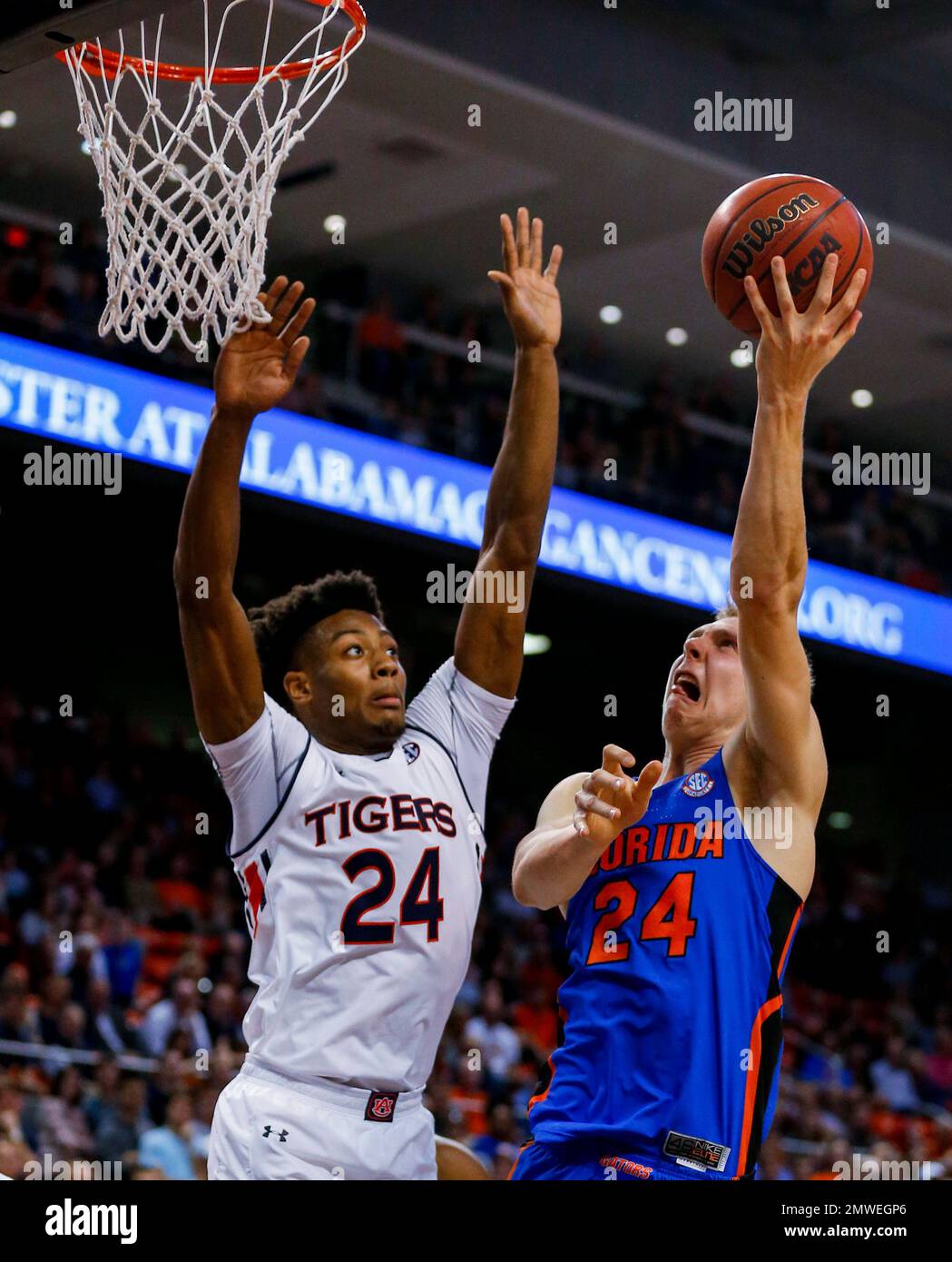 Florida guard Canyon Barry (24) shoots next to Auburn forward Anfernee ...