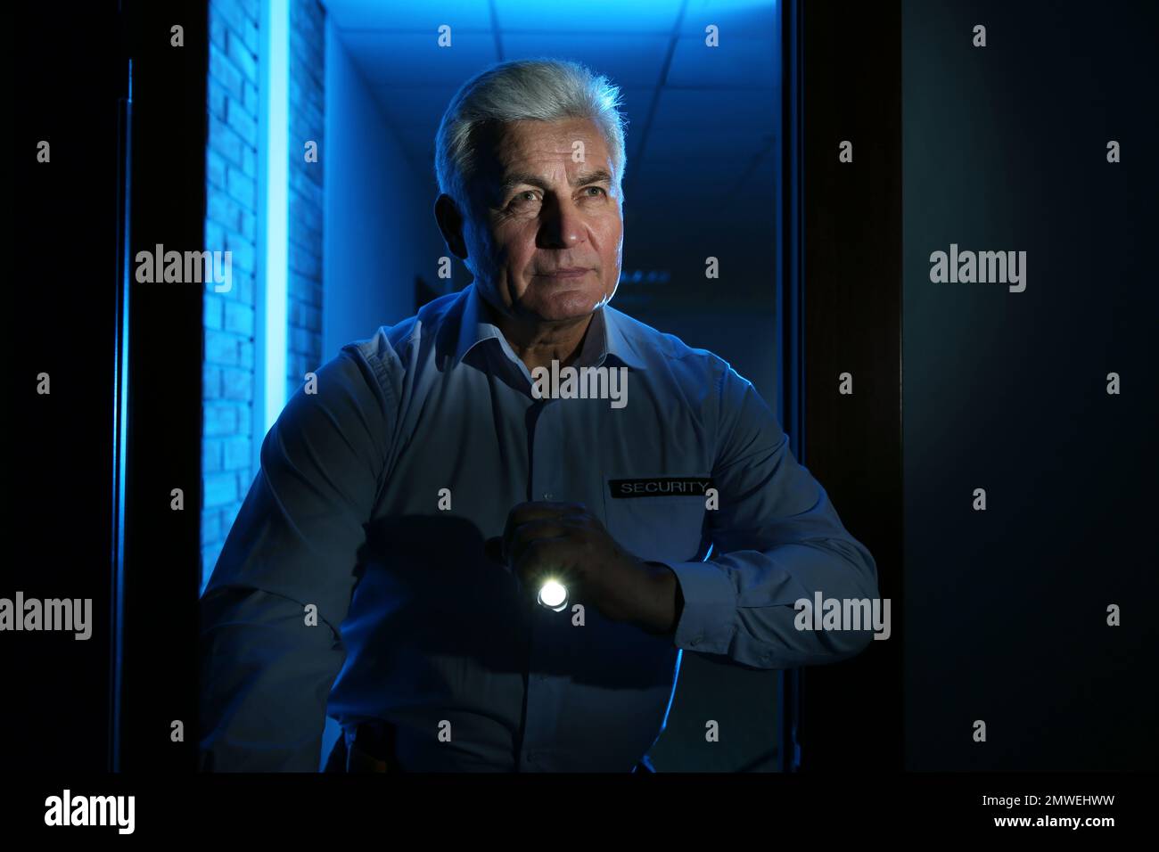 Professional security guard with flashlight checking dark room Stock ...