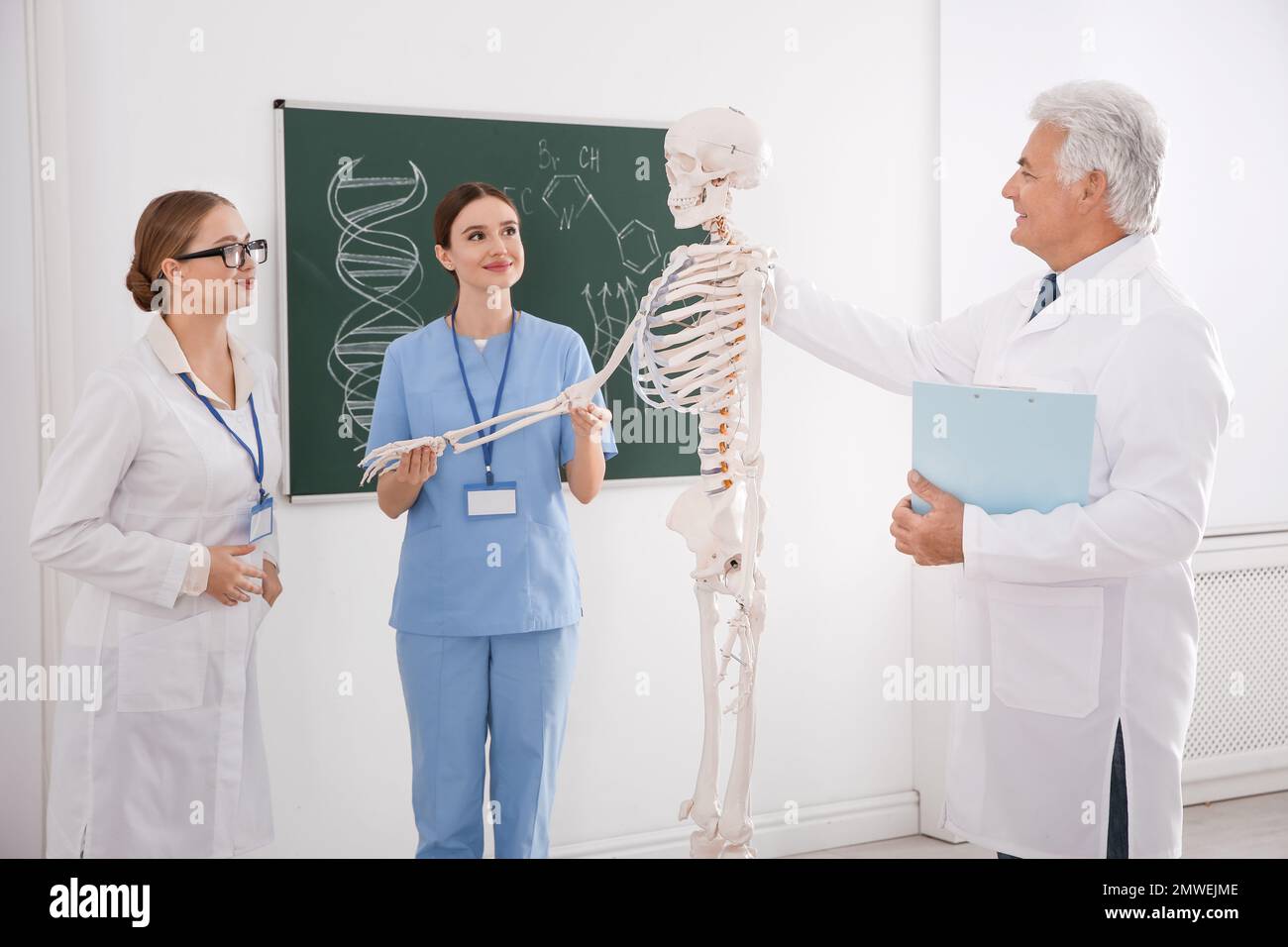 Medical students and professor studying human skeleton anatomy in ...