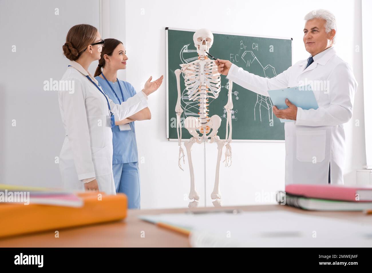 Medical students and professor studying human skeleton anatomy in ...