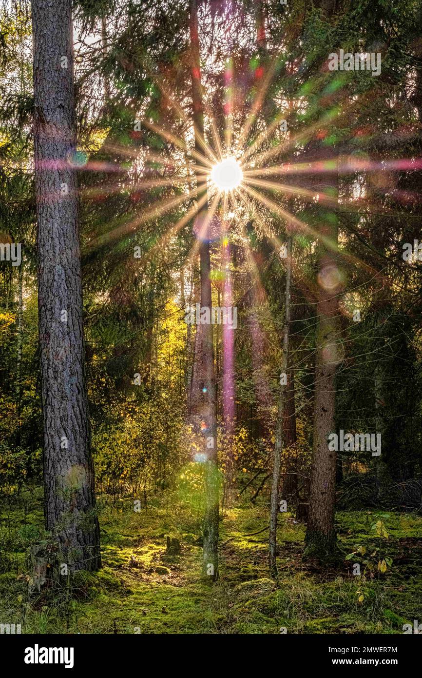 Rays light from behind hi-res stock photography and images - Alamy