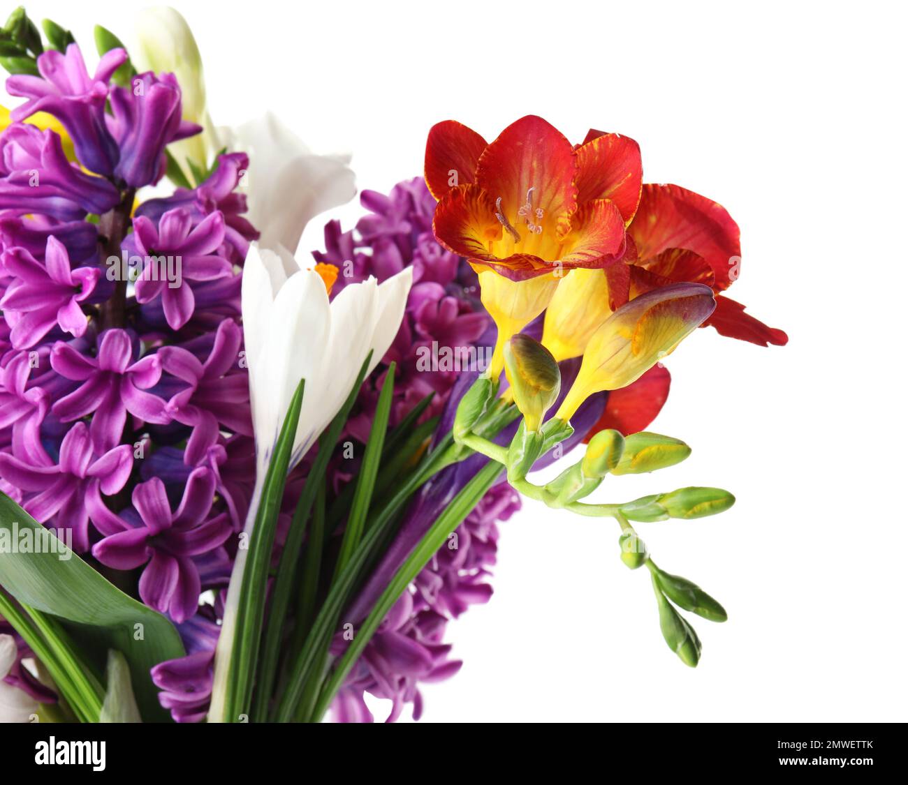 Bouquet of beautiful spring flowers on white background Stock Photo - Alamy