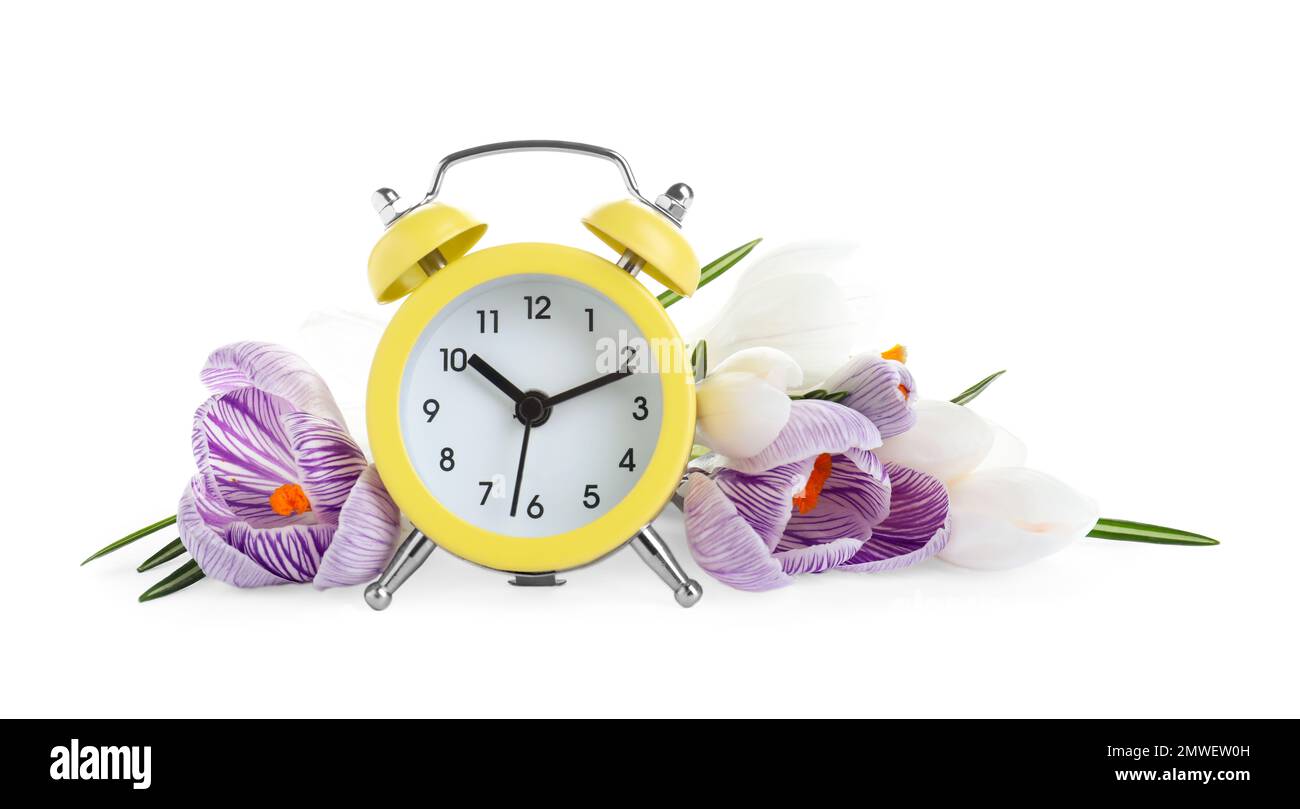 Yellow alarm clock and spring flowers on white background. Time change ...