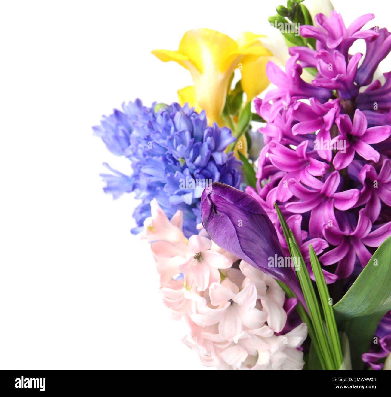 Bouquet of beautiful spring flowers on white background Stock Photo - Alamy