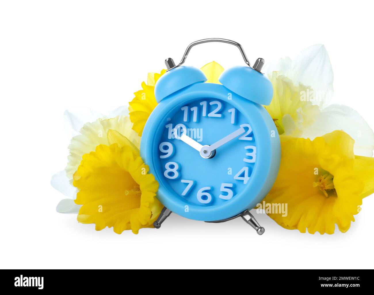 Light blue alarm clock and spring flowers on white background. Time ...