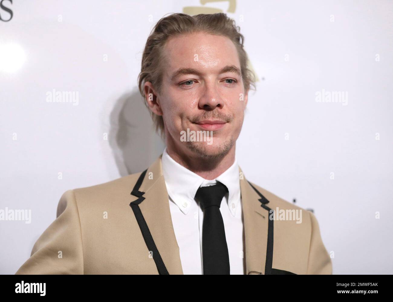 Diplo attends the Clive Davis and The Recording Academy Pre-Grammy Gala ...