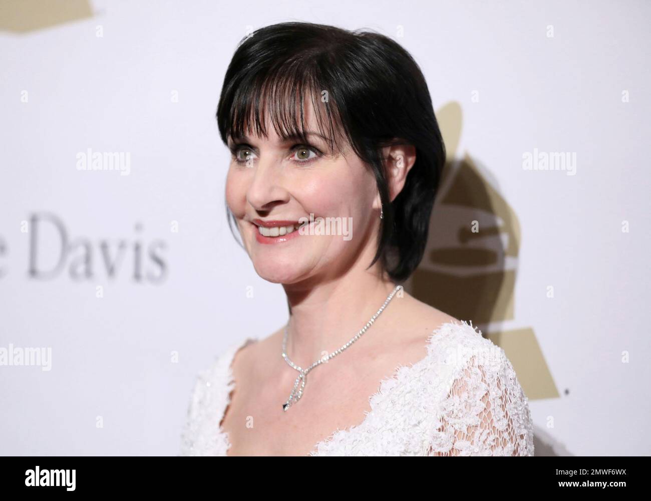 Enya attends the Clive Davis and The Recording Academy Pre-Grammy Gala ...