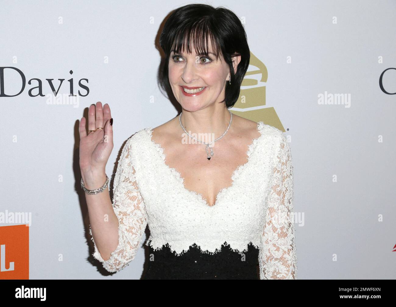 Enya attends the Clive Davis and The Recording Academy Pre-Grammy Gala ...