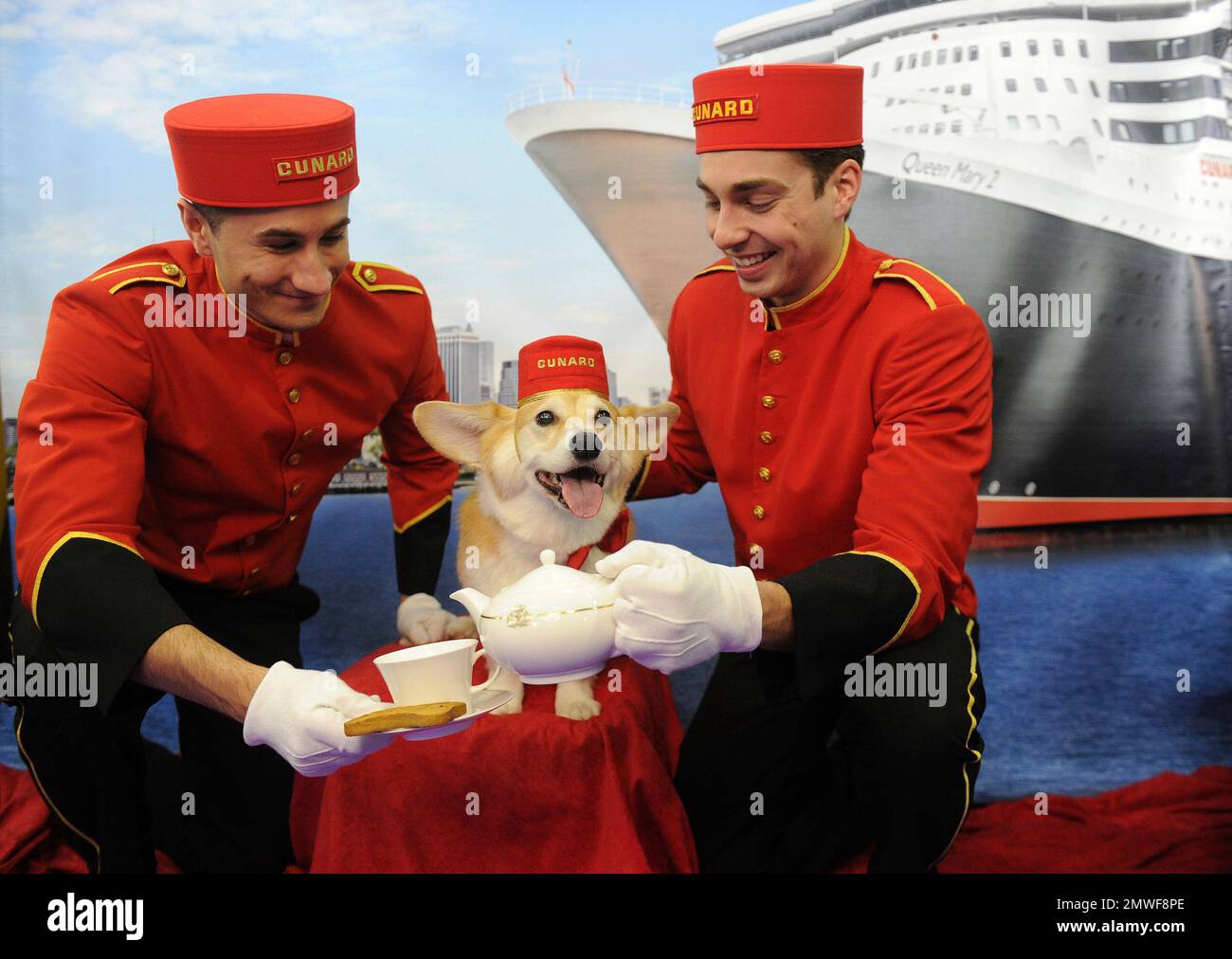 IMAGE DISTRIBUTED FOR CUNARD - Cunard bellman offer white gloved "doggy ...