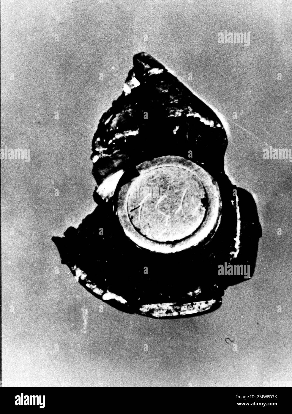 This is the bullet that killed civil rights leader, the Rev. Dr. Martin ...