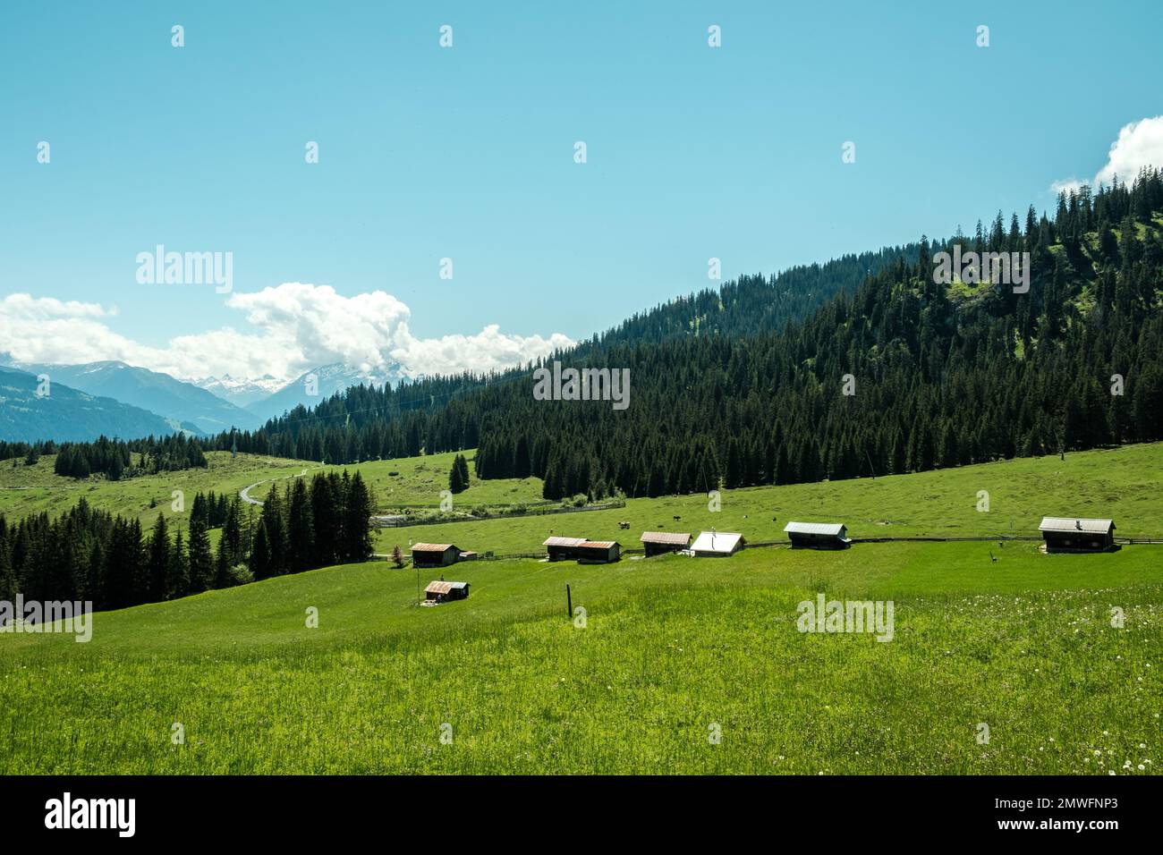 The small residential houses in the mountains under a blue sky in Flims ...