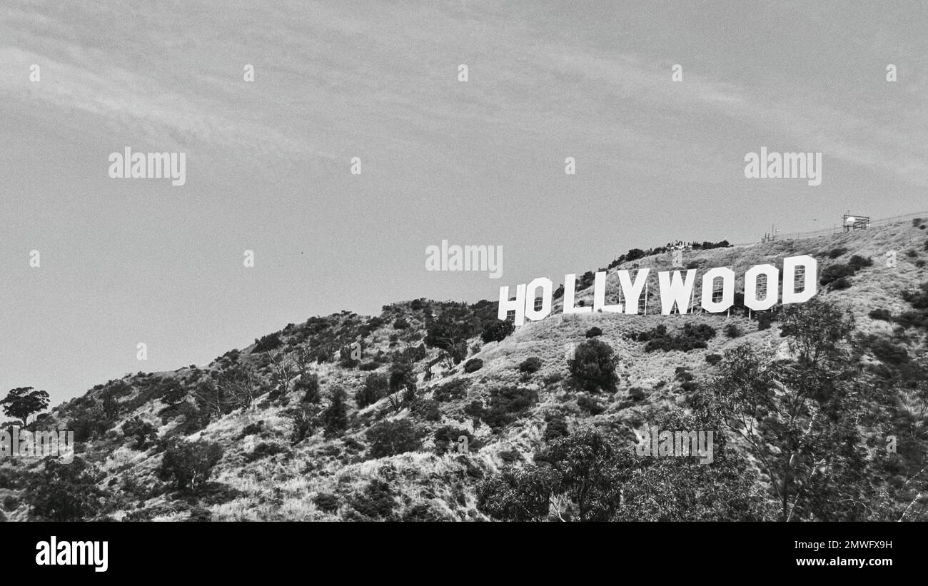 A greyscale shot of Hollywood sign in Los Angeles on the mountain Stock ...