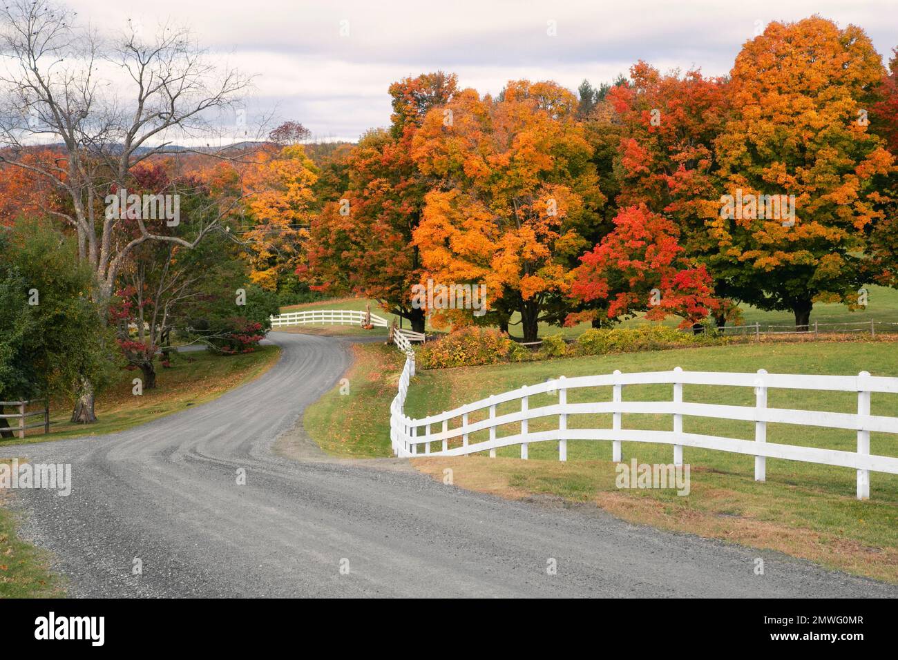 A breathtaking view of a countryside road, surrounded by trees in ...
