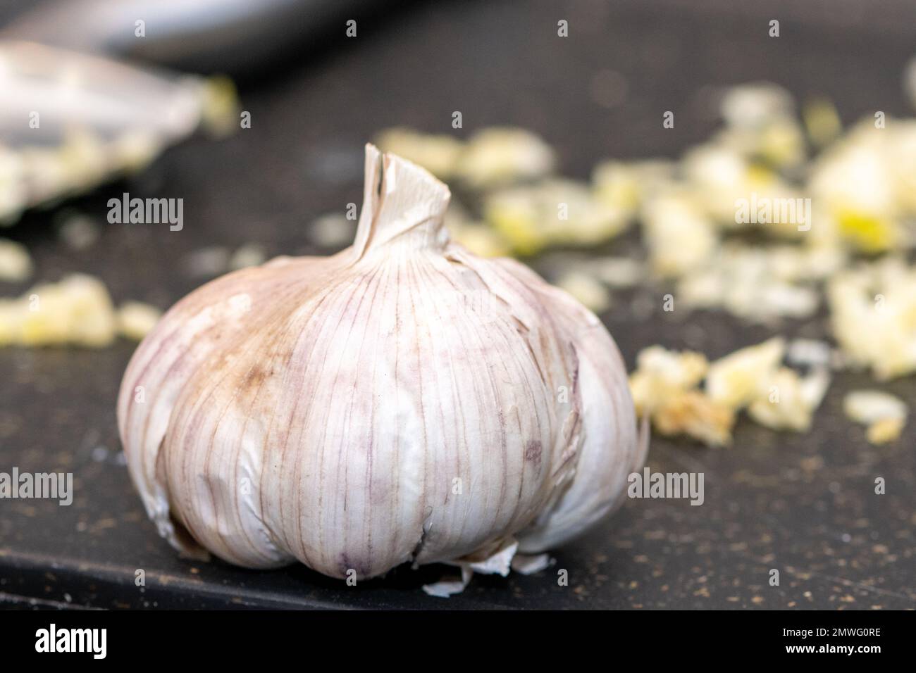 A macro of a large bulb of raw white garlic on a black colored cutting ...