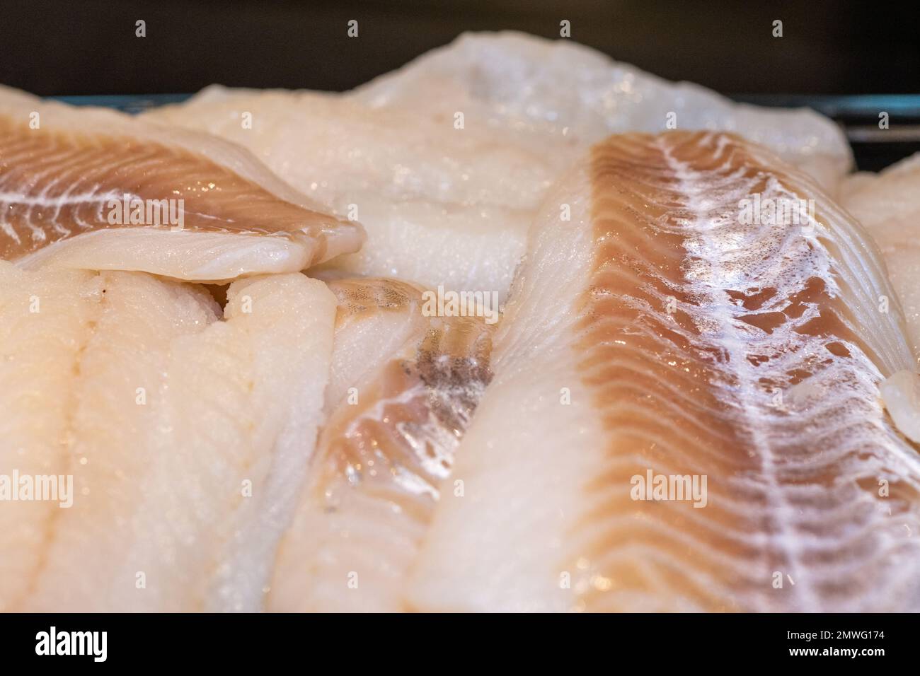 Close up with multiple pieces of raw uncooked cod fillet or codfish ...